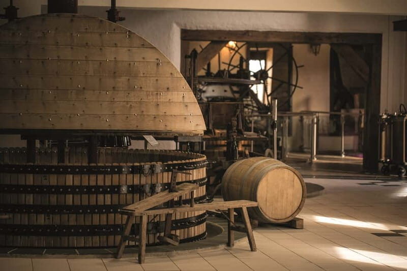 Passy-Grigny: Chocolate and Champagne Tasting Tour - Who Will Love This Tour?