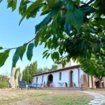 Peccioli: Wine tasting experience - Discovering Tuscany: A Closer Look at the Experience