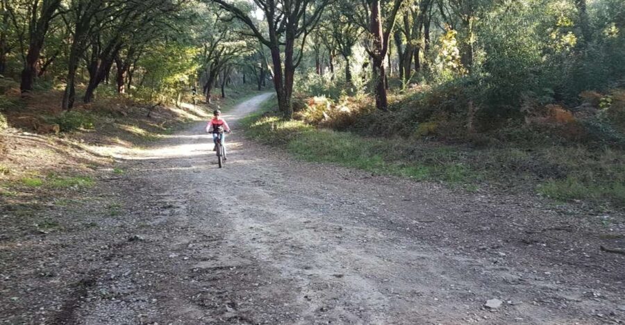 Peneda Gerês National Park: Self-Guided Electric Bike Tour - Overview and What to Expect