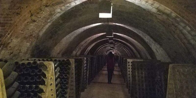 Penedes: Private Wine and Cava Tasting Tour - Penedes: Private Wine and Cava Tasting Tour - A Detailed Look