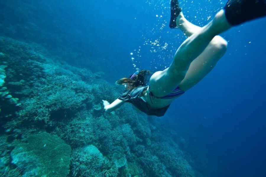 Peniche: Berlengas Island Caves Tour and Snorkeling - Practical Details
