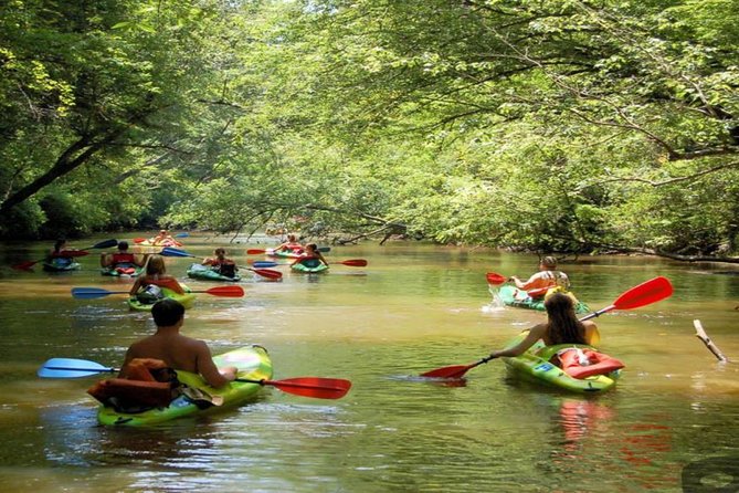 Phu Quoc Northern Island and Kayaking in Cua Can River - Key Points