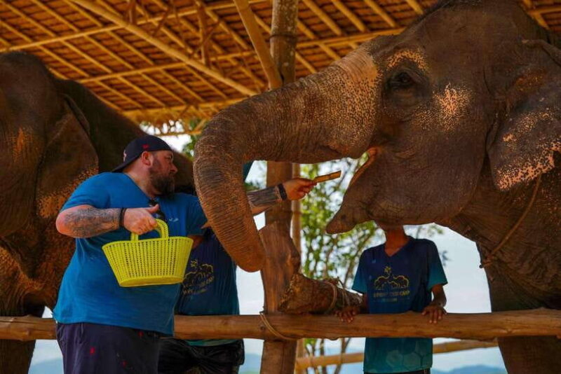 Phuket: Meet Feed & Relax with Elephant - Key Points