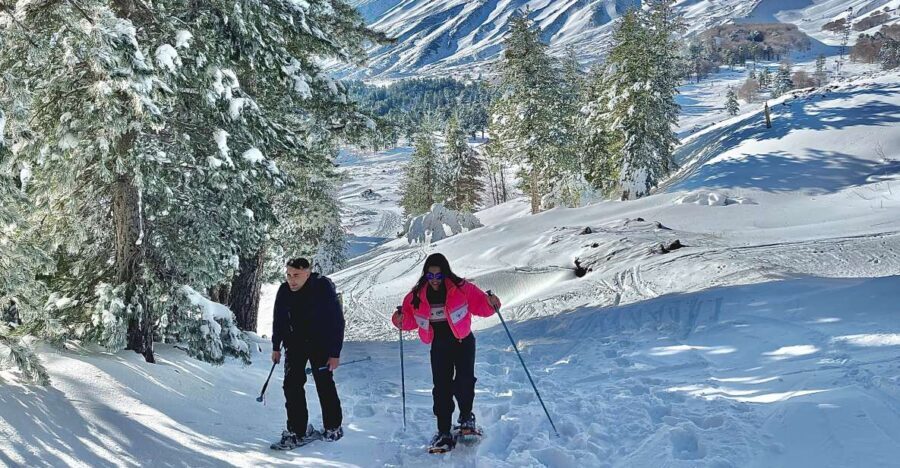 Piano Provenzana: Guided Mt. Etna Snowshoeing Trek - The Price and What You’re Getting