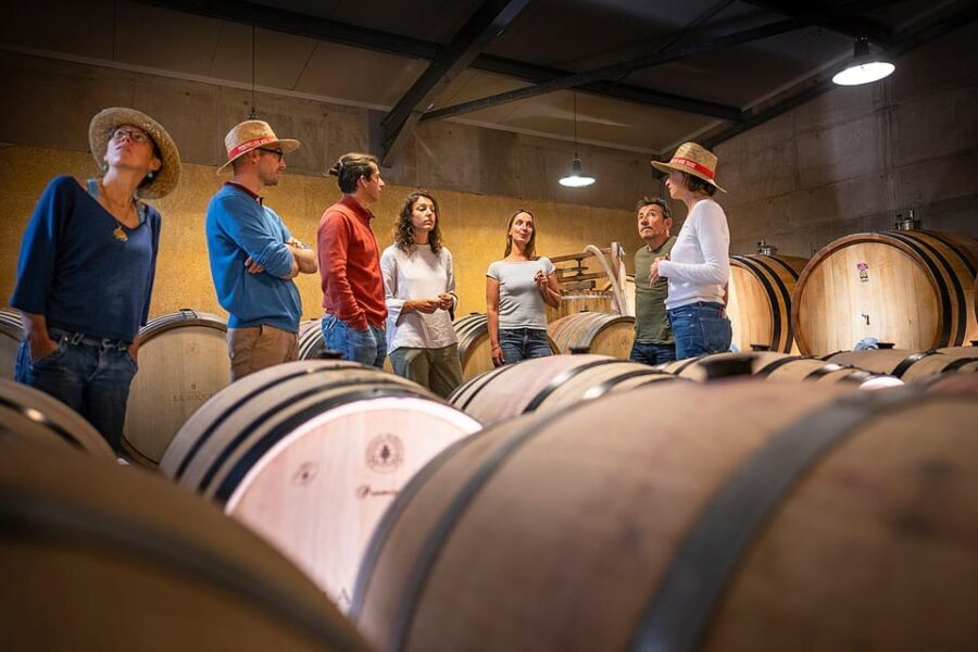 Pic Saint-Loup: Full Day Wine and Olive Tour - Who Should Consider This Tour?