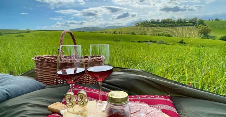 Picnic in the organic vineyards of Brunello - The Itinerary: What to Expect