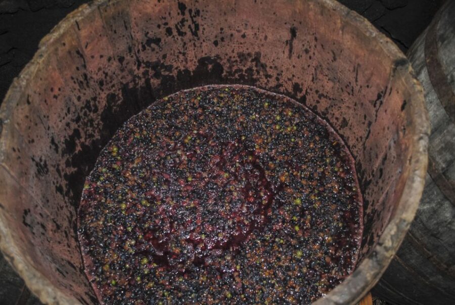 Pico Island: Full Day Wine Culture Tour - Final Thoughts: Is This Tour Worth It?