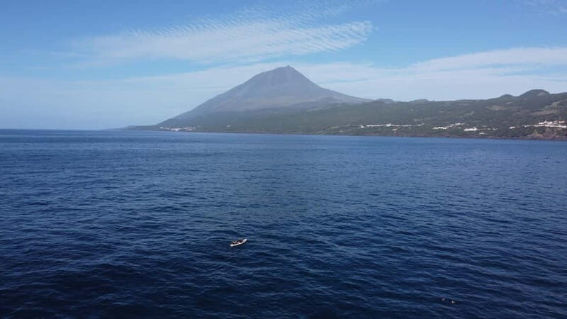 Pico island: guided kayak and snorkel tour - Authentic Experiences and Authentic Guides