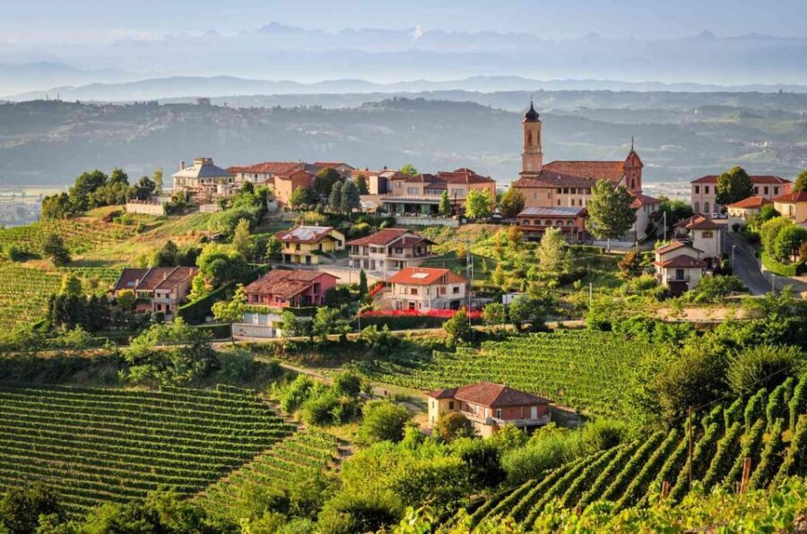 Piedmont Private Wine and Food Tour with Tastings - What the Tour Includes and What to Consider
