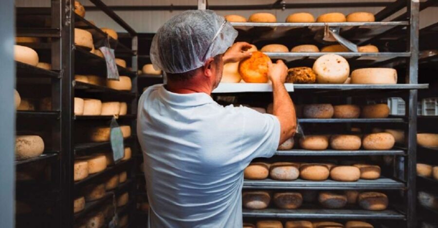 Pienza: Dairy Farm Tour with Pecorino Cheese Tasting - Exploring the Pienza Dairy Farm Tour in Depth