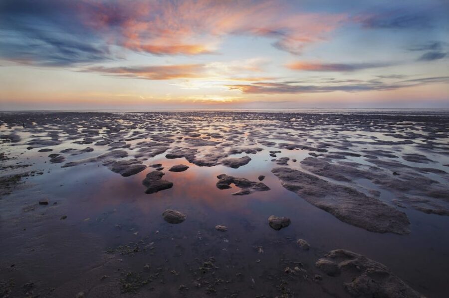 Pieterburen: Wadden Sea Mudflats Guided Walking Tour - Who Will Love This Tour?