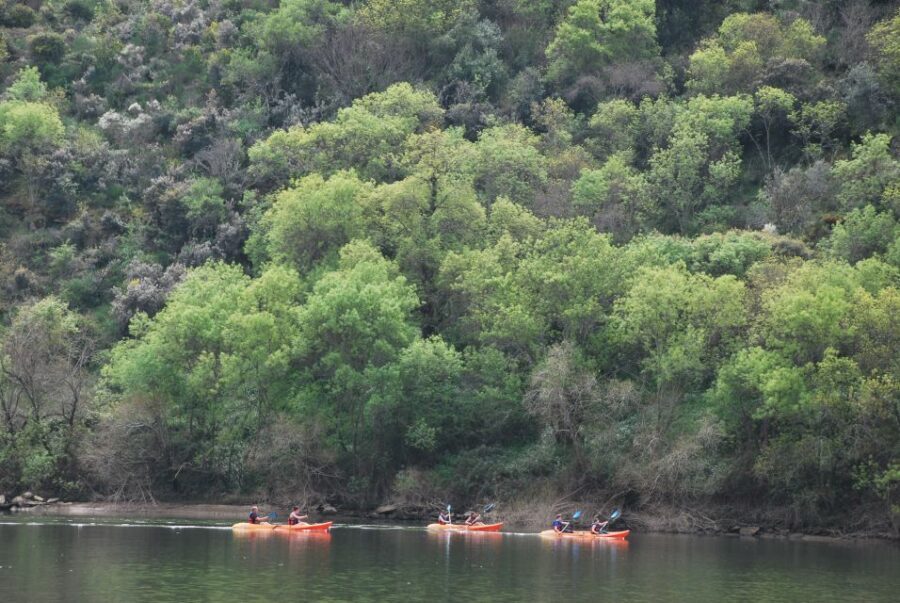 Pinhão: 4 Hour Douro Valley Kayak Rental - An In-Depth Look at the Pinhão Kayak Experience