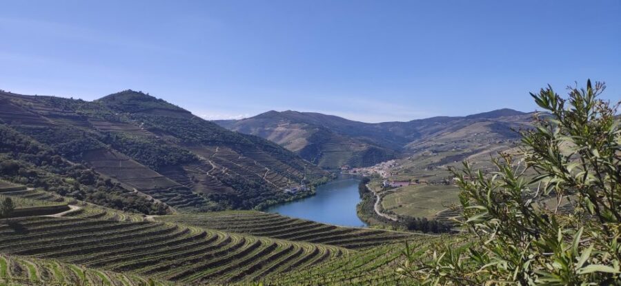 Pinhão: Douro Valley with Wine Tasting, Boat Trip and Lunch - An In-Depth Look at the Tour Experience