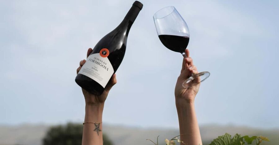 Pinhão: Quinta da Formigosa Vineyard Tour and Wine Tasting - The Experience in Detail