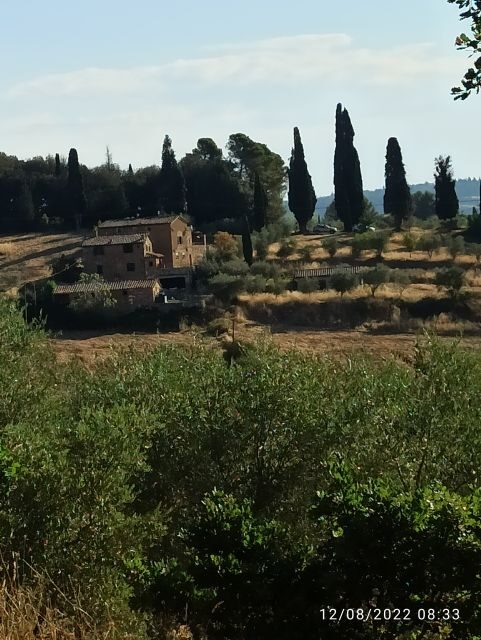 Pisa and Florence Private Shore Excursions from Livorno - What Travelers Are Saying