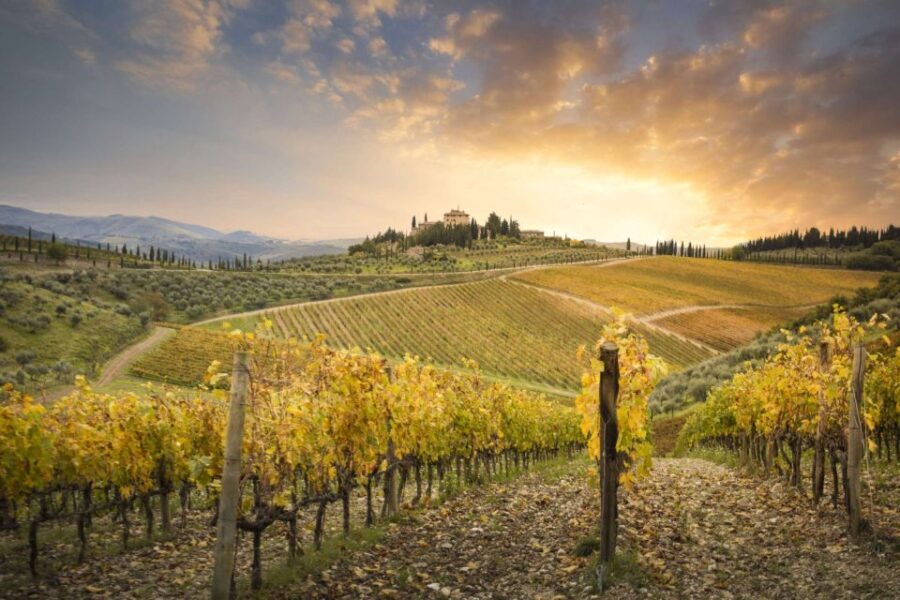 Pisa, Siena and Chianti Private Tour from Florence by Car - The Logistics and How It Impacts Your Experience
