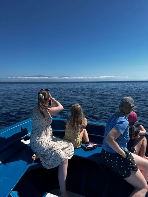 Pizzo: Fishing, Snorkeling, Dolphin Watching - The Fishing and Snorkeling Highlights