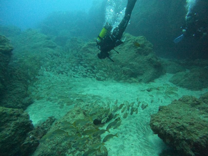 Playa Del Ingles: Discover Scuba Diving - Free Transfers - What to Expect from the Tour
