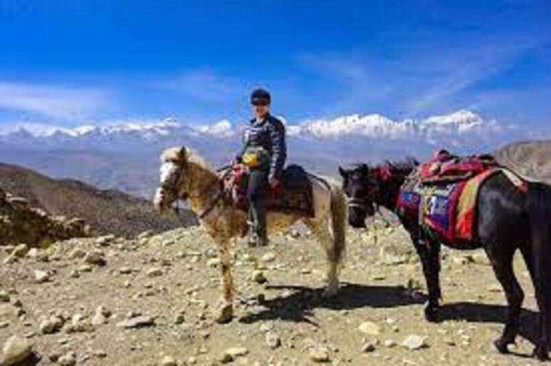 Pokhara: Horseback Riding Adventure with Hotel Pickup - Key Points