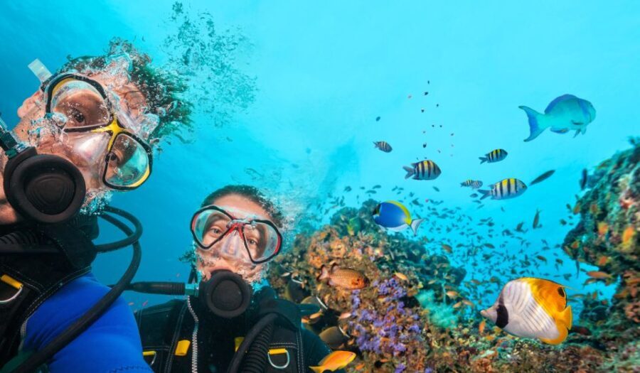 Polignano a Mare: Scuba Experience with certification - How the Experience is Structured