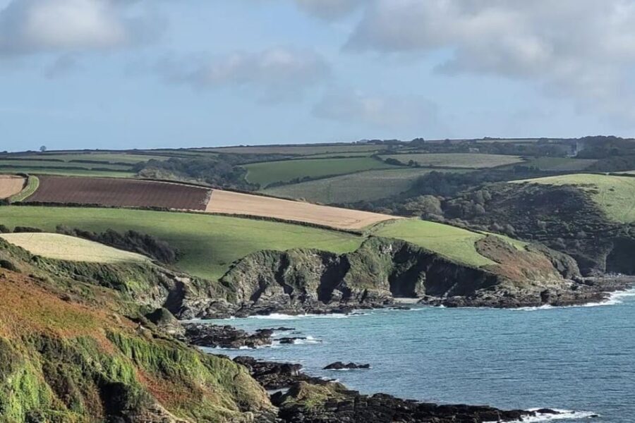 Polruan: Lansallos Coast Path Guided Walk - Why the Views Matter: The Heart of the Experience