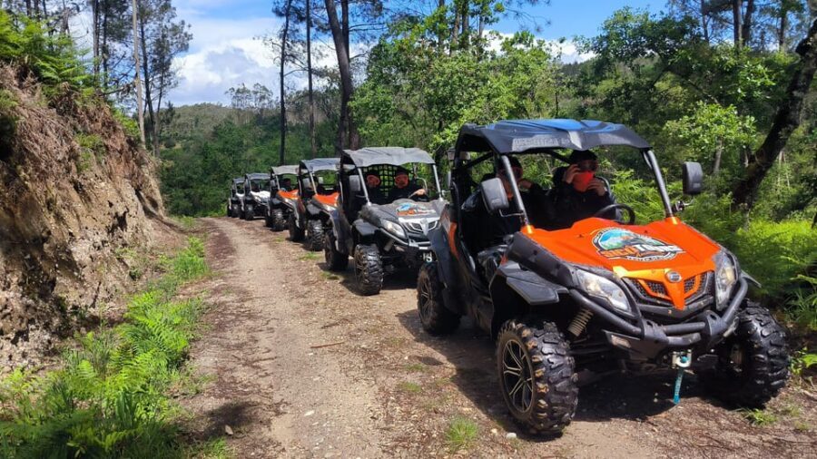Pombal- Sicó: 60 minutes OFF-ROAD Buggy Ride - The Scenic Highlights and Stops