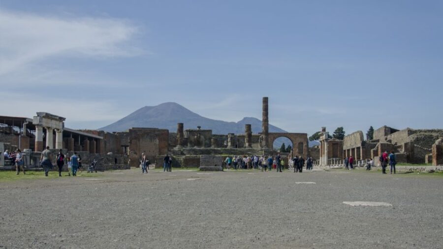 Pompeii and Herculaneum: Private Tour from Naples - Why This Tour Offers Good Value