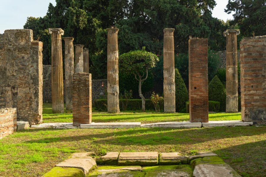 Pompeii: Entrance Ticket - Skip the Line - Who Would Benefit Most from This Experience?