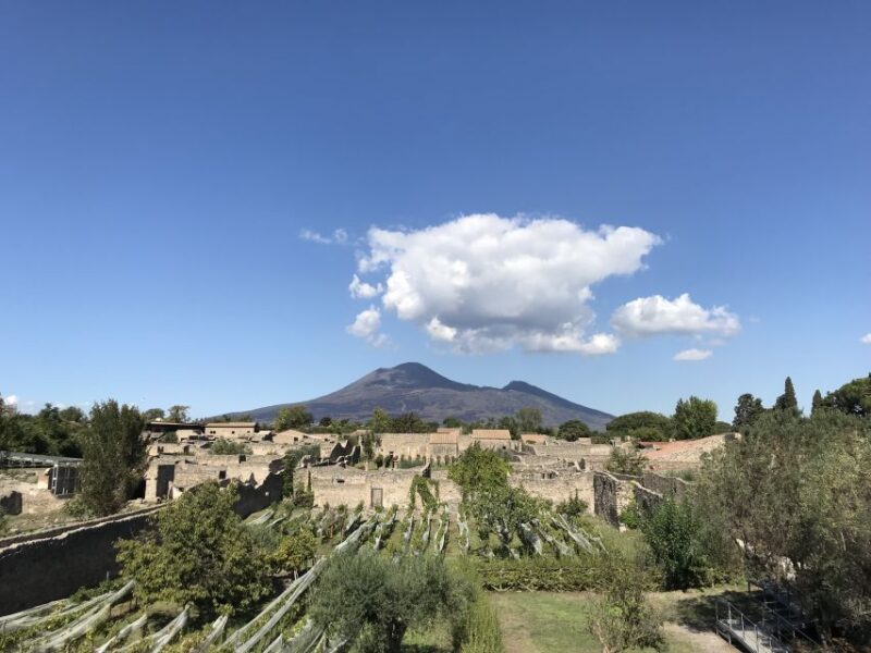 Pompeii & Herculaneum Private Skip-the-Line Tour with Ticket - An Honest Look at the Pompeii & Herculaneum Private Tour