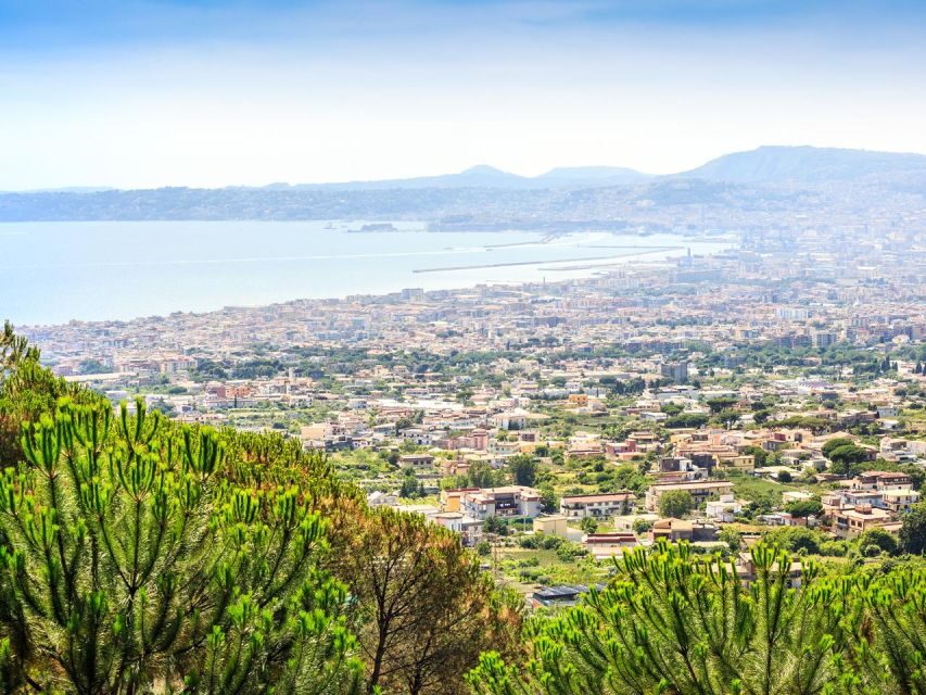 Pompeii: Mount Vesuvius Park Entry Ticket and Transfer - A Full Breakdown: What to Expect from This Tour