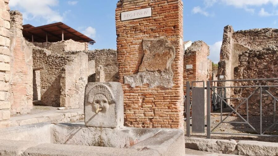 Pompeii & Naples tour from Naples - Who Should Take This Tour?