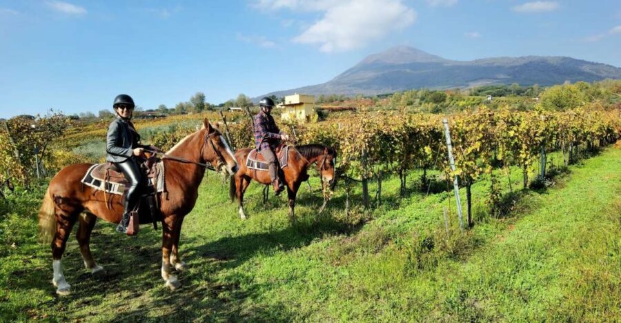 Pompeii: Ruins Tour and Mount Vesuvius Horseback Ride - A Detailed Look at the Tour Experience