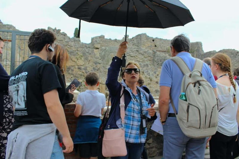 Pompeii Ruins Tour: Driver, Guide and Ticket Included - Who Should Consider This Tour?