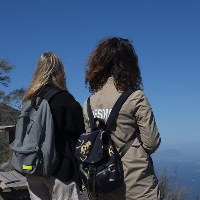 Pompeii Ruins & Vesuvius Full-Day Tour from Pompeii - Is This Tour Worth the Price?