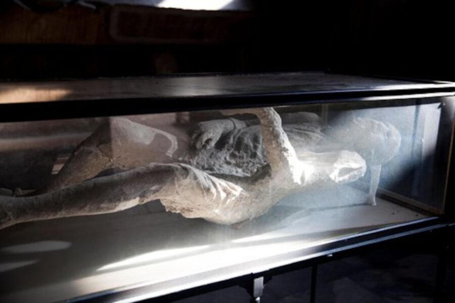 Pompeii: Skip-the-Line Guided Tour with Expert Archaeologist - Who Should Book This Tour?