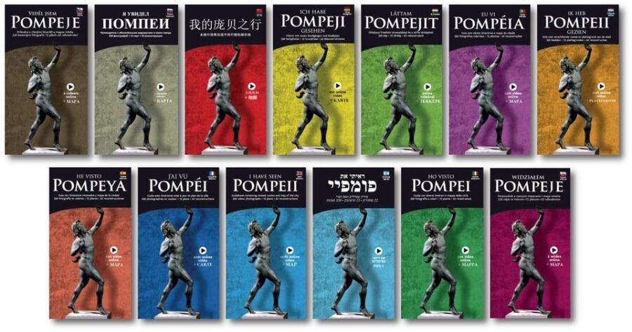 Pompeii Skip the Line Ticket + Guide Book with itineraries - The Experience on the Ground: Pros and Cons