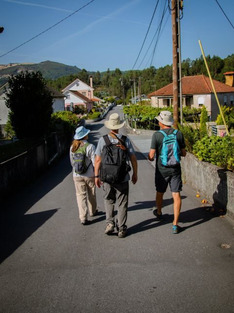 Ponte de Lima: treasures from the oldest village of PT - The Itinerary: What to Expect
