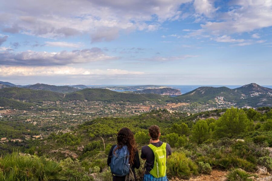 Port Andratx: Hiking Tour into the sunset to Sant Elm - Analyzing the Value