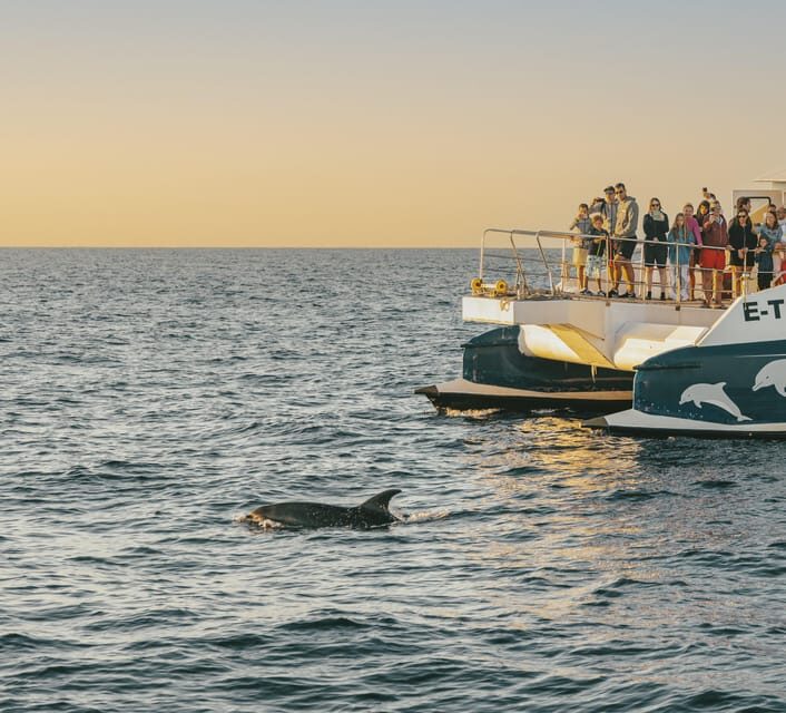 Port d'Alcudia: Sunrise at Sea & Dolphin Watching Boat Tour - What’s Included and What’s Not