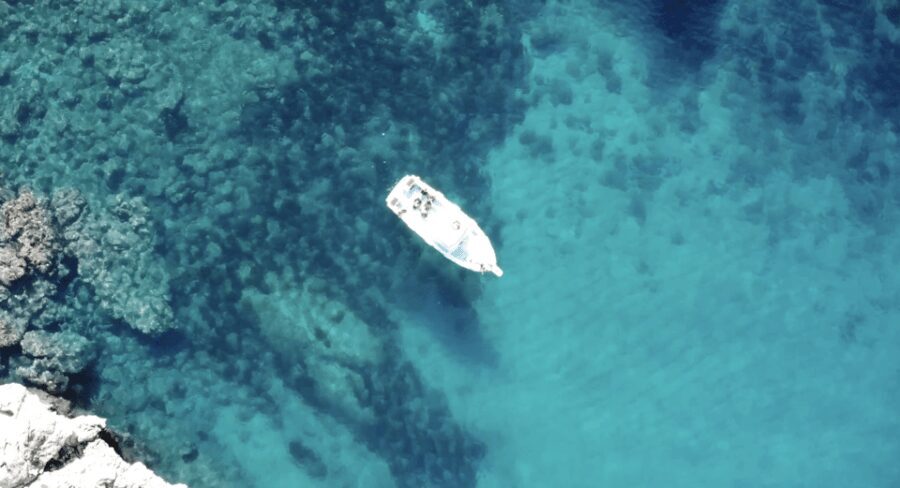 Port de Sóller: Snorkeling Tour with Professional Guide - Value and Practical Considerations