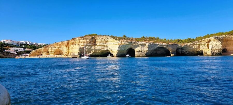 Portimão: Benagil Caves and Coast Boat Tour with Swim Stop - Who Will Love This Tour?