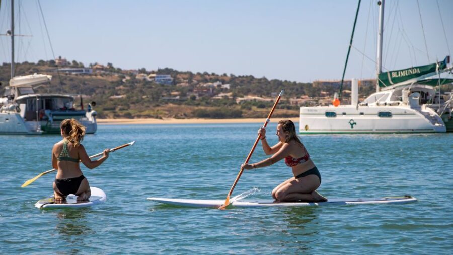 Portimão: Half-Day Catamaran Cruise to Benagil & Carvoeiro - The View and the Vessel