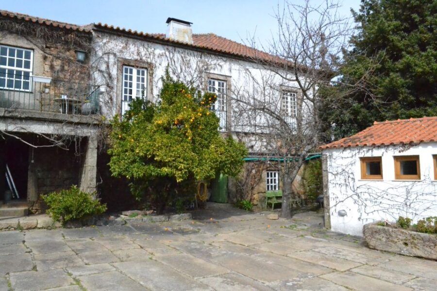 Porto: 3 Douro Valley Vineyards Tour with Lunch - Transportation, Group Size, and Timing