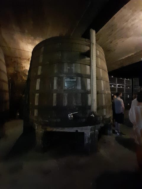 Porto ao Douro melhor experiência vinho e comida Portuguesa - What’s Included and Practical Tips