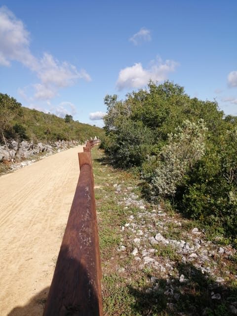 Porto de Mós: "Ecopista" E-Bike Tour - What Makes This Tour Special