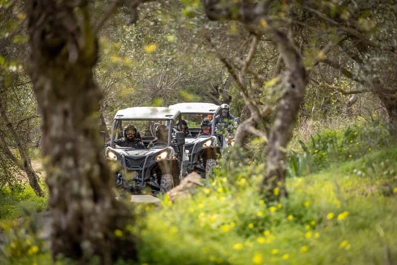Porto: Dirt and Dust Tour by Oporto Buggy - The Experience Provider: Oporto Buggy Adventure