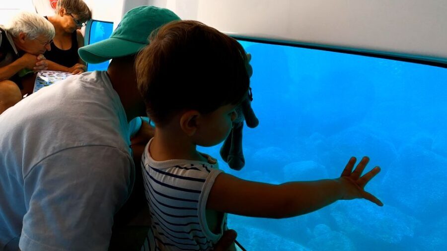 Porto : Discovery of the marine fauna and flora/Bay of Porto - Who Will Enjoy This Tour?