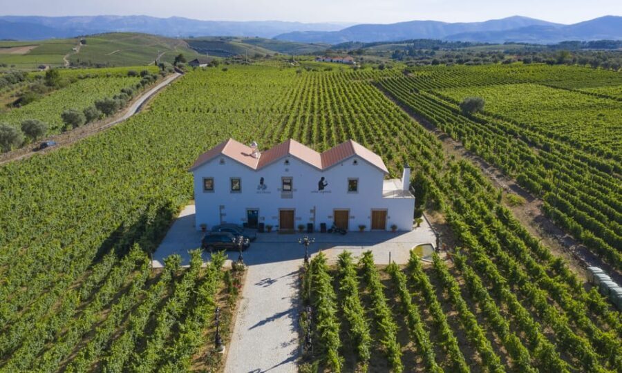 Porto: Douro Valley Day Trip with Lunch and Favaios Village - Casal de Loivos: A Viewpoint Not to Miss