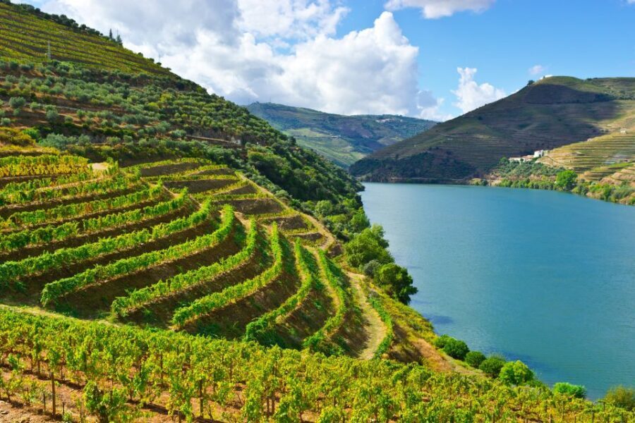Porto: Douro Valley History & Wine Tour with Cruise & Lunch - A Thorough Breakdown of the Tour