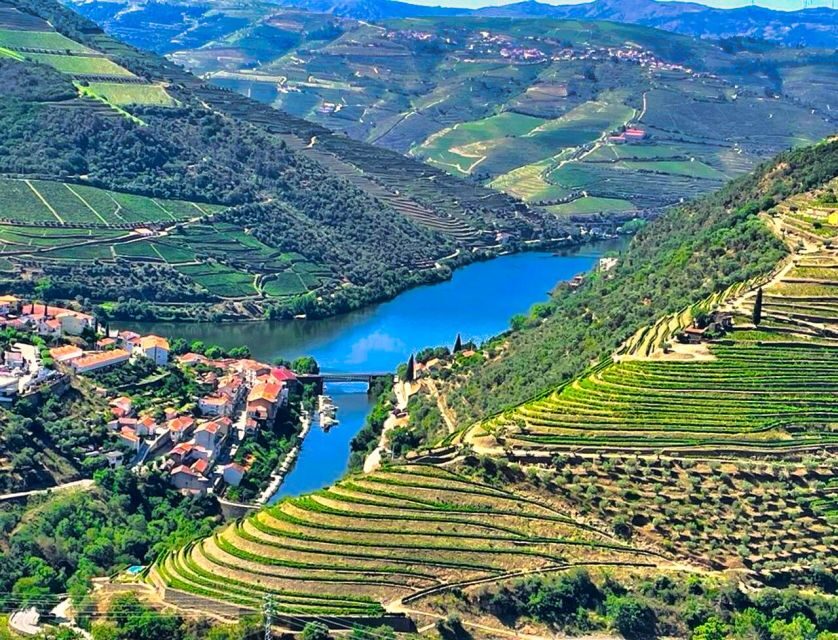 Porto: Douro Valley Private Tour 2 Vineyards & River Cruise - What This Tour Means for You